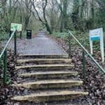 One Tree Hill London Guide: What to Expect?