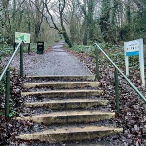 One Tree Hill London Guide: What to Expect?