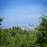 One Tree Hill London Guide: What to Expect?