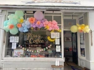 Top 9 Best Dog Cafes in London 2023