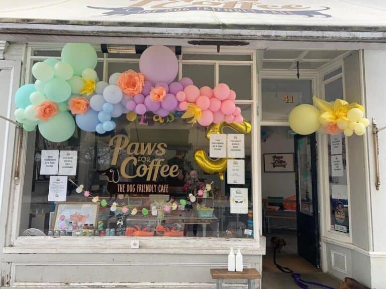 Top 9 Best Dog Cafes in London 2023