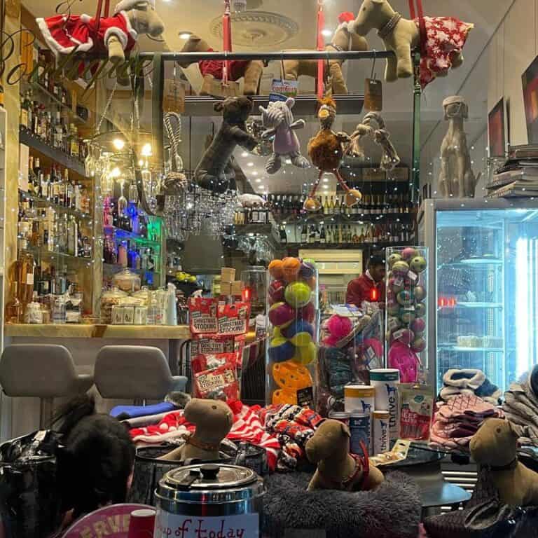Top 9 Best Dog Cafes in London 2026